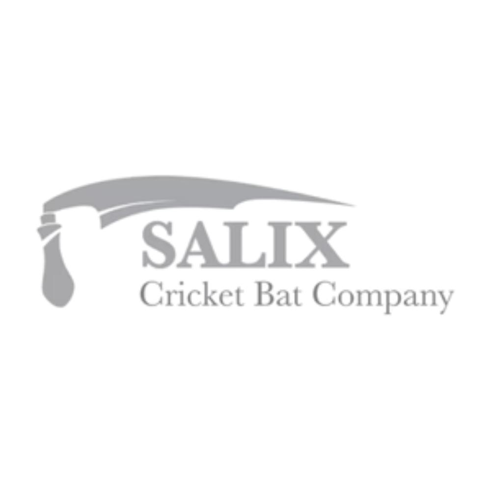 2025 Salix Cricket Bats – AJ Sports