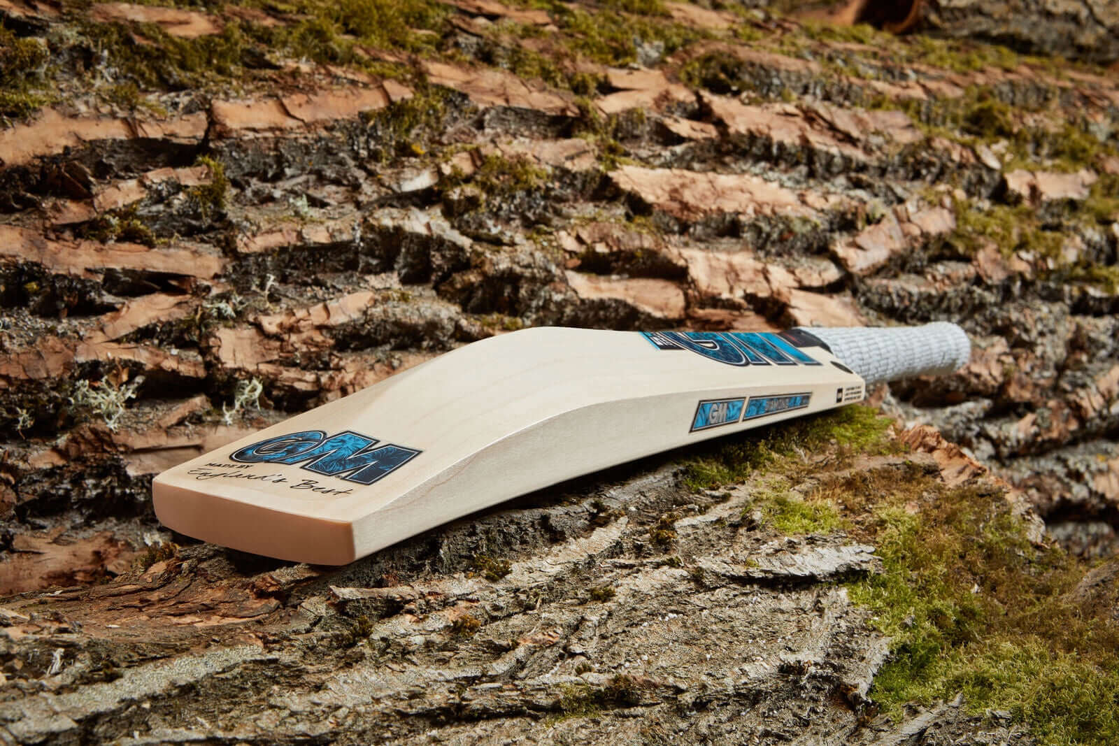 Buy Cricket Bats Near Me - Shop Now for Quality Bats – AJ Sports